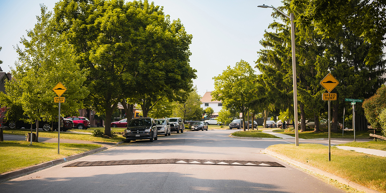 Private Tree Protection | Speak Up Lincoln